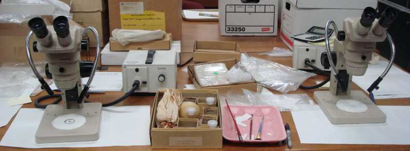 Mississippi Valley Archaeology Center | UW-La Crosse